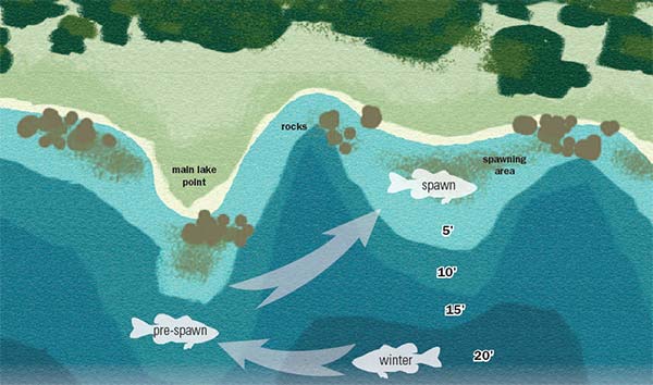 Spring bass fishing in the Northeast and covering the south.